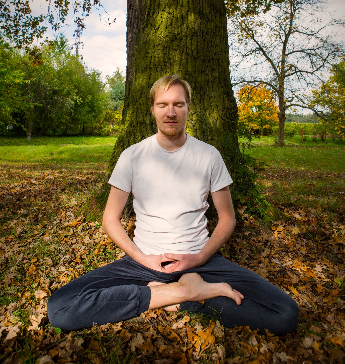 Mgr. Jan Kozák - BeBalanced